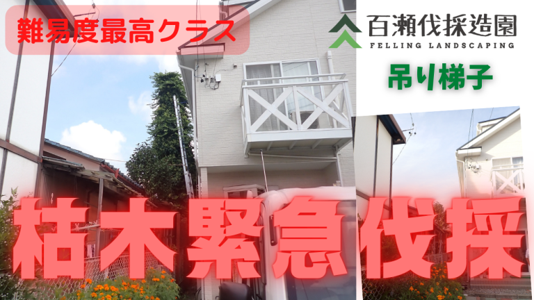 剪定 百瀬伐採造園