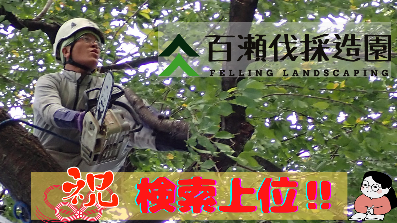 検索上位になりました！ 百瀬伐採造園