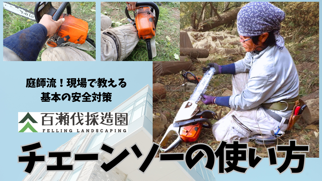 初めてチェーンソーを現場で使う方へ 百瀬伐採造園